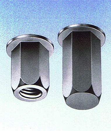 Rivkle | Rivkle Rivnuts | Blind Rivet Nuts | Bollhoff | Nutserts | Z305 ...