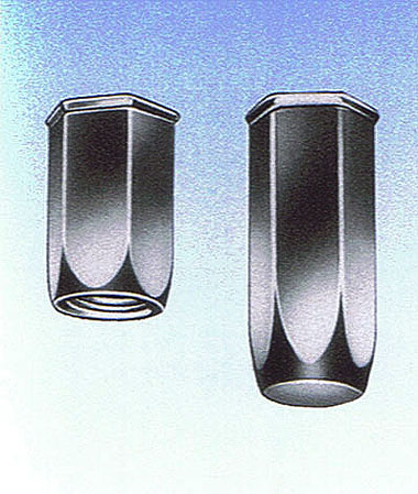 Rivkle | Rivkle Rivnuts | Blind Rivet Nuts | Bollhoff | Nutserts | Z305 ...
