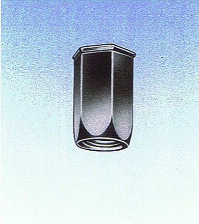 Rivkle | Rivkle Rivnuts | Blind Rivet Nuts | Bollhoff | Nutserts | Z305 ...